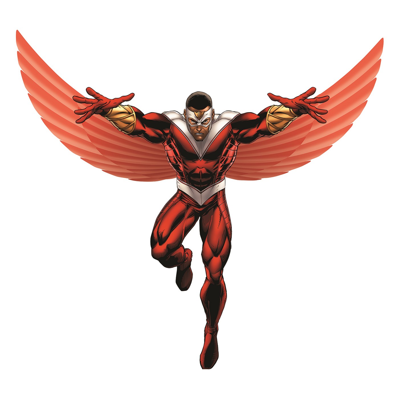 Product image 0 for Falcon Cardboard Cutout