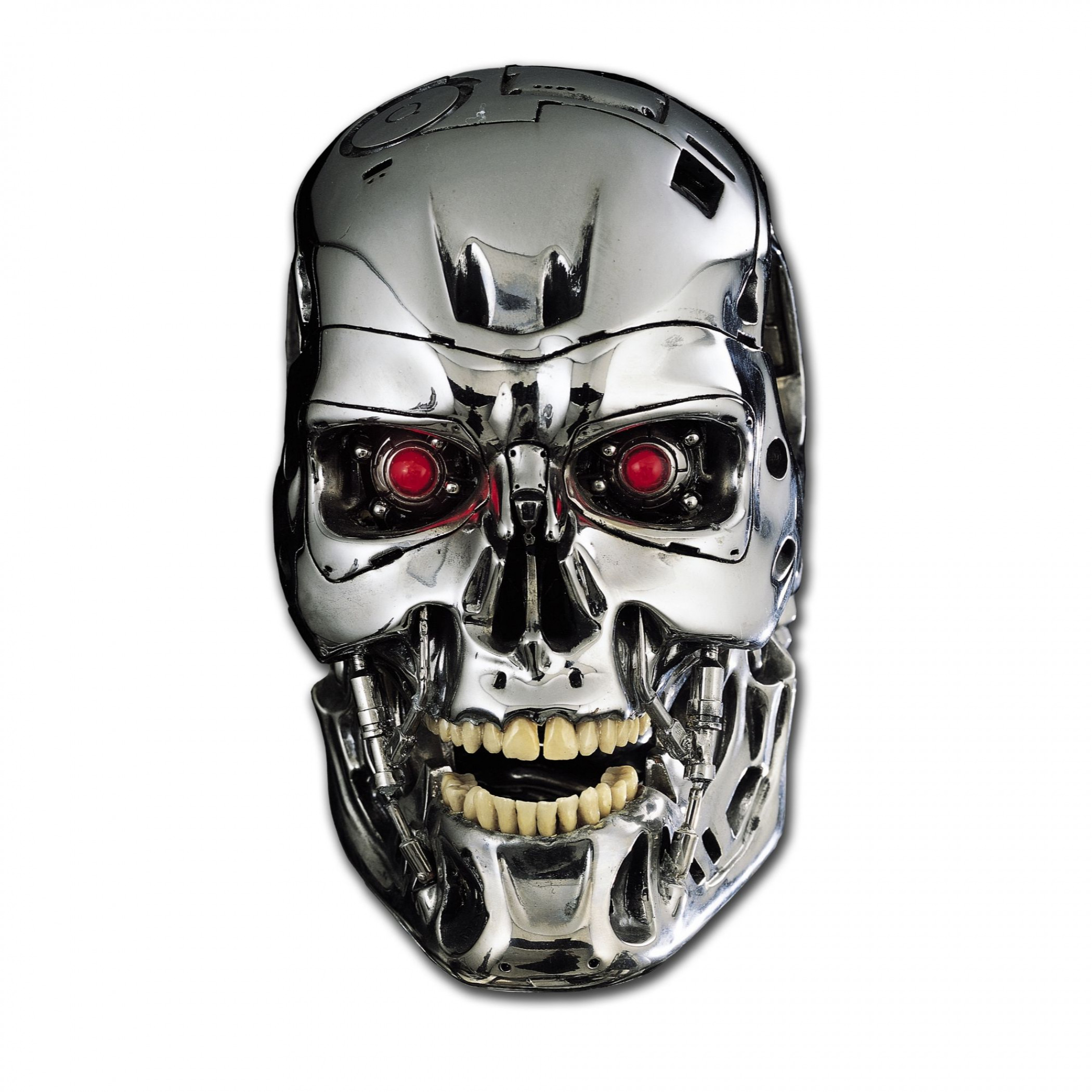 Product image 0 for The Terminator Car Decal